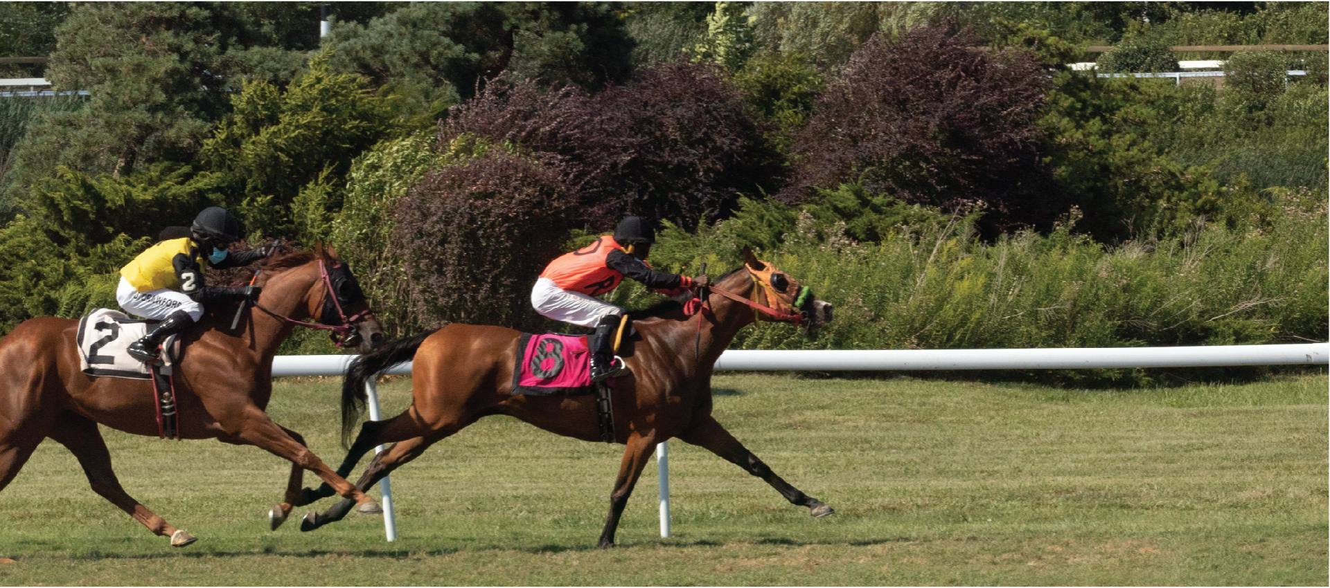 Fort Erie Racing - Home