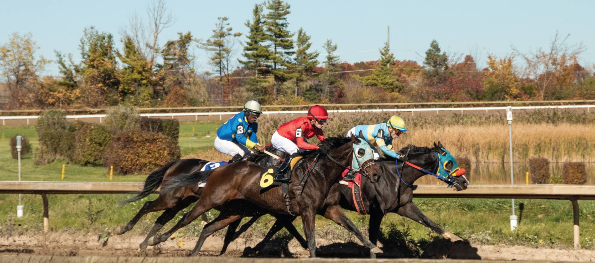 Fort Erie Racing - Home